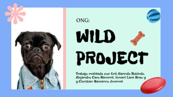 WILD PROJECT | Genially