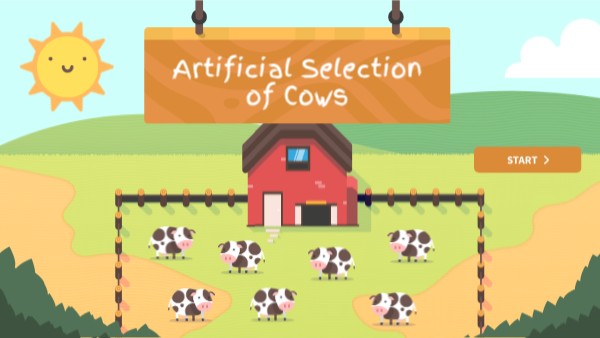 Artificial Selection of Cows | Genially