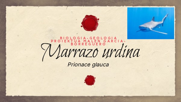 Marrazo urdina | Genially