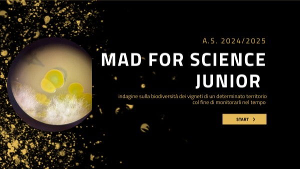 mad for science junior | Genially