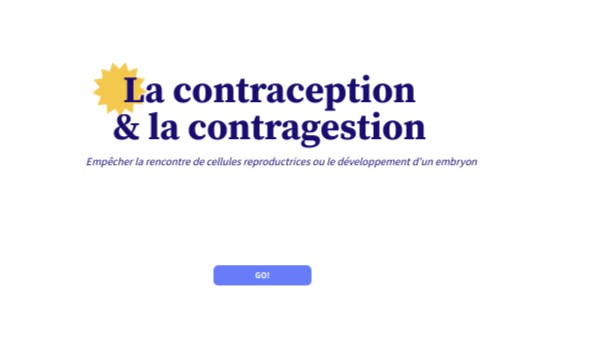 La contraception & la contragestion | Genially