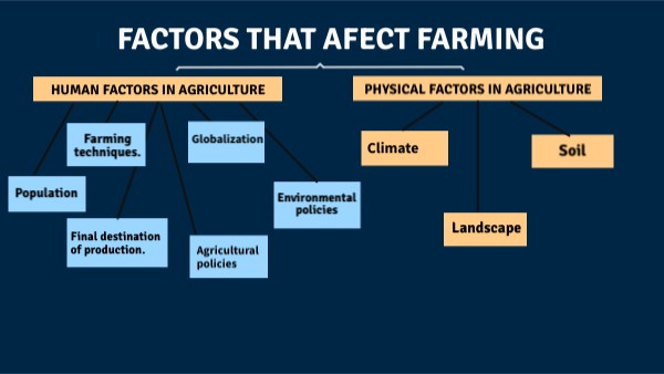 FACTORS THAT AFECT FARMING | Genially