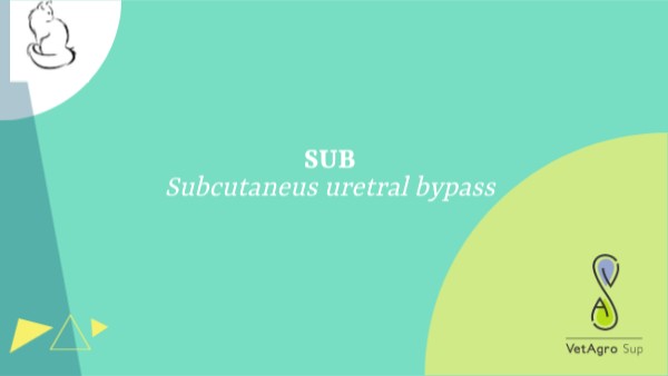 SUB Subcutaneus uretral bypass | Genially
