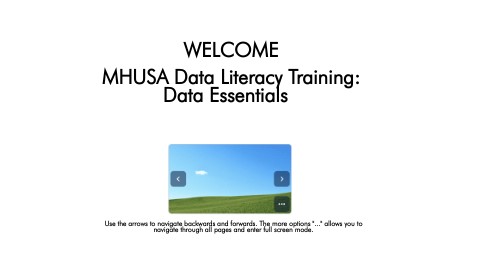 MHUSA Data Essentials Introduction | Genially