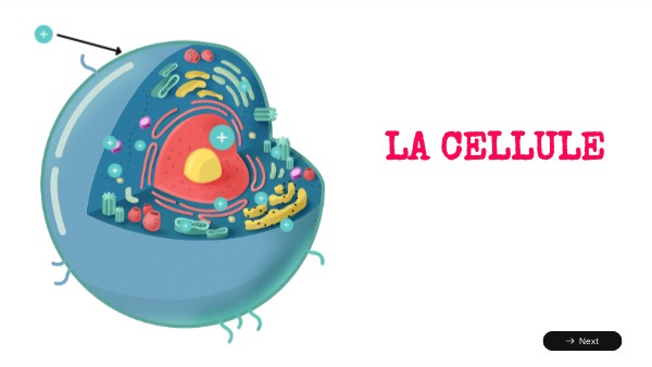 LA CELLULE | Genially