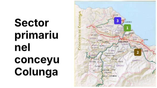 Ana_Vallines_M2_Act_1 | Genially