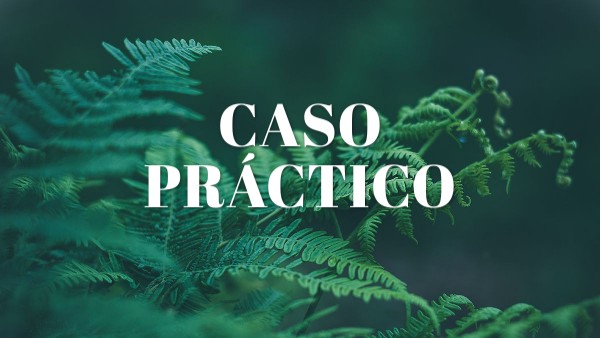 CASO PRÁCTICO FINAL | Genially