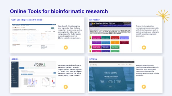 Online Tools for bioinformatic research | Genially