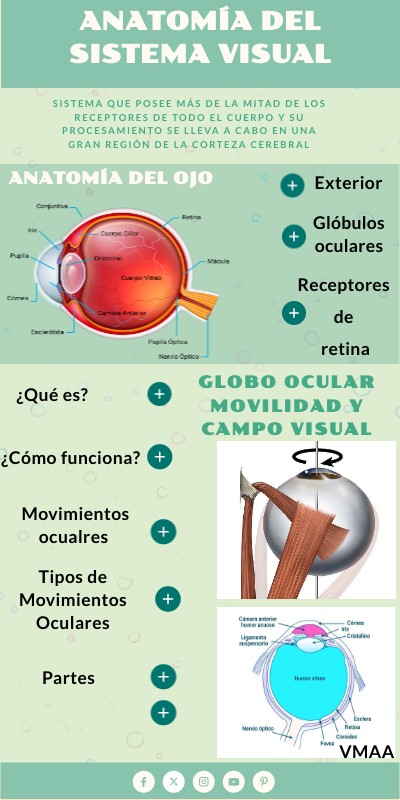 Sistemas visual y auditivo VMAA | Genially