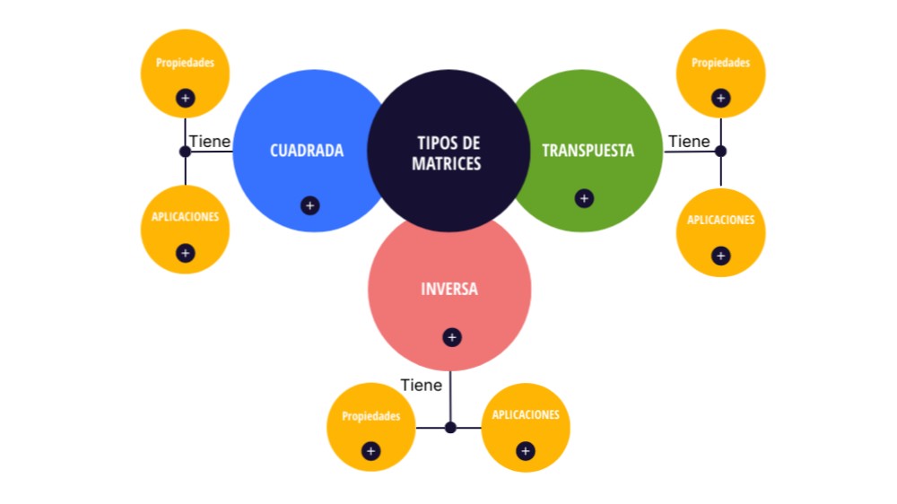 Tipos de matrices | Genially