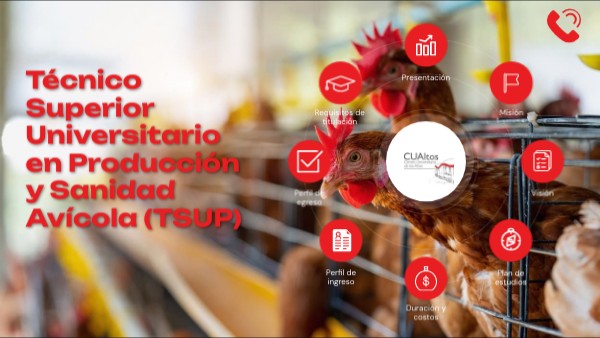 Técnico Superior Universitario en Producción y Sanidad Avícola (TSUP ...