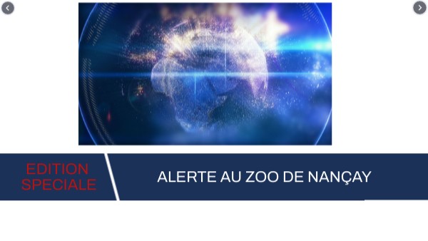 Alerte au zoo | Genially