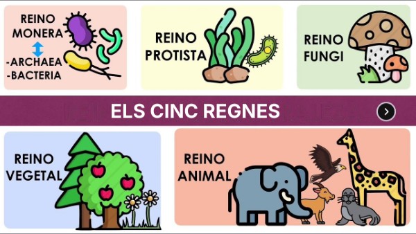 ELS CINC REGNES | Genially
