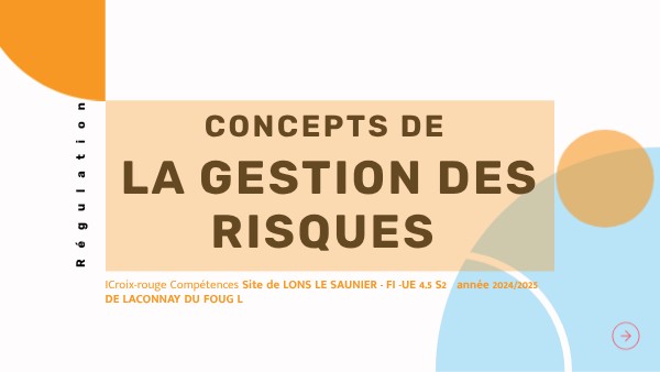 La gestion des risques UE 4.5 S2 | Genially