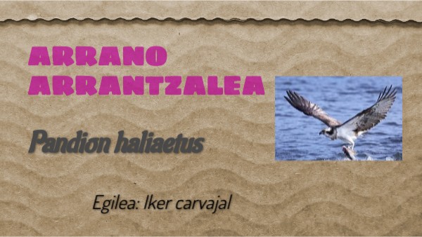 Arrano arrantzalea | Genially