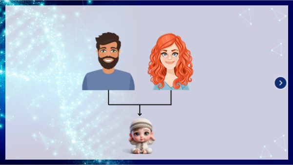 Chapitre : Le transfert de l’information génétique | Genially