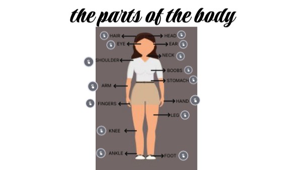 the parts of the body | Genially