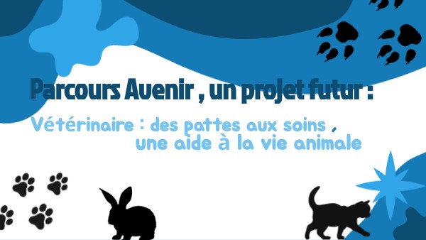 Parcours Avenir , un projet futur : | Genially