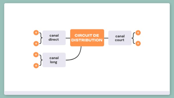 circuit de distribution | Genially