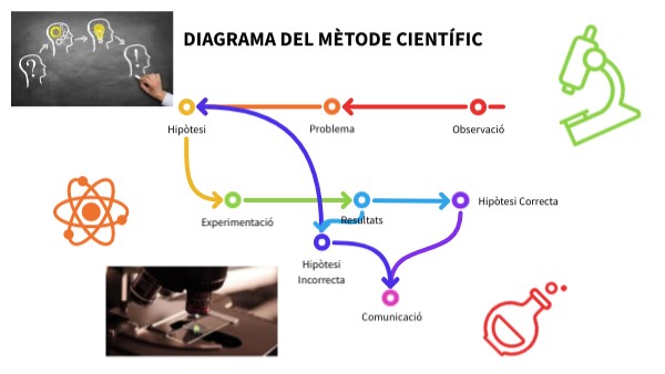 Diagrama Del mètode científic Eloy Martin | Genially