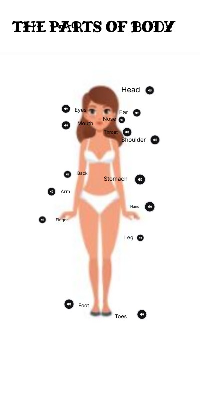 THE PARTS OF BODY | Genially