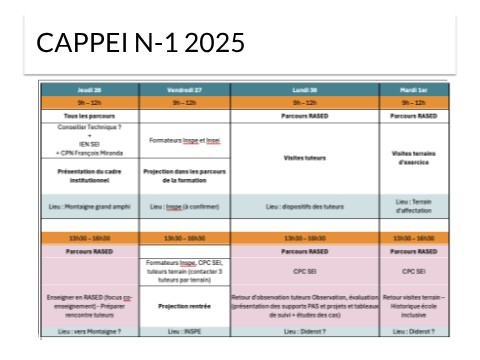 CAPPEI N-1 2025 | Genially