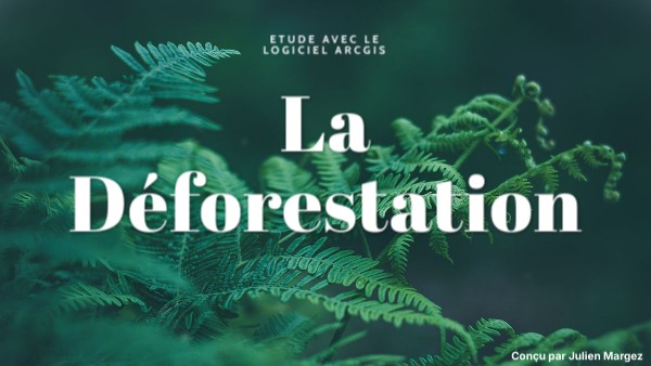 La Déforestation | Genially