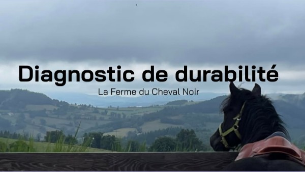 Diagnostic de durabilité | Genially