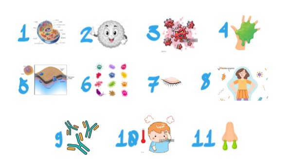 Vocabulario tema 6 | Genially