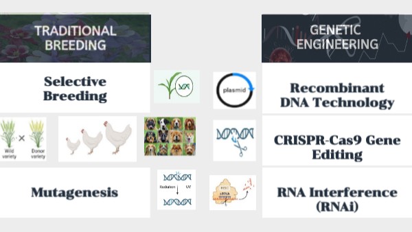 Genetic engineering | Genially