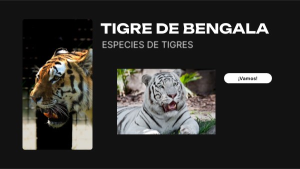 TIGRE DE BENGALA | Genially