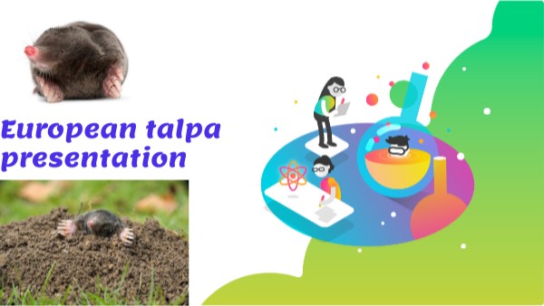 European talpa presentation | Genially