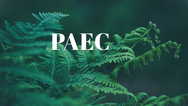 PAEC | Genially