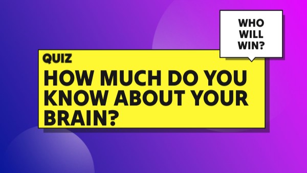 how much do you know about your brain? | Genially