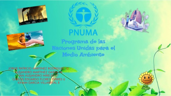 Proyecto PNUMA | Genially