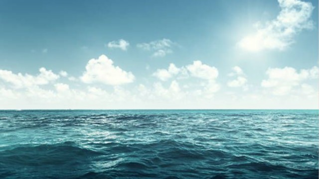 presentacion mar | Genially