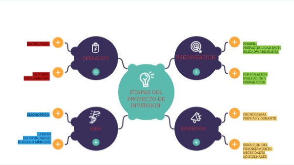 ETAPAS DEL PROYECTO DE INVERSION | Genially
