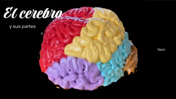 El cerebro | Genially