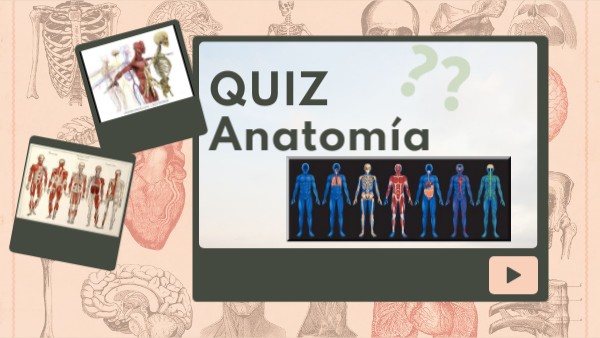 Anatomía | Genially