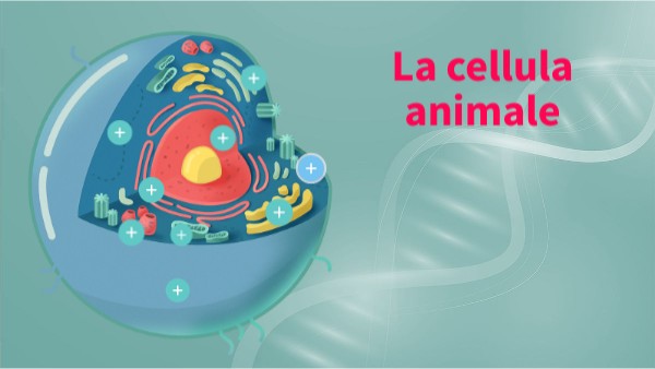 La cellula animale e vegetale | Genially