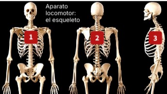 Javier_BengoetxeaÁlvarez_M2_Act_1 | Genially