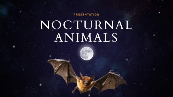 nocturnal animals | Genially