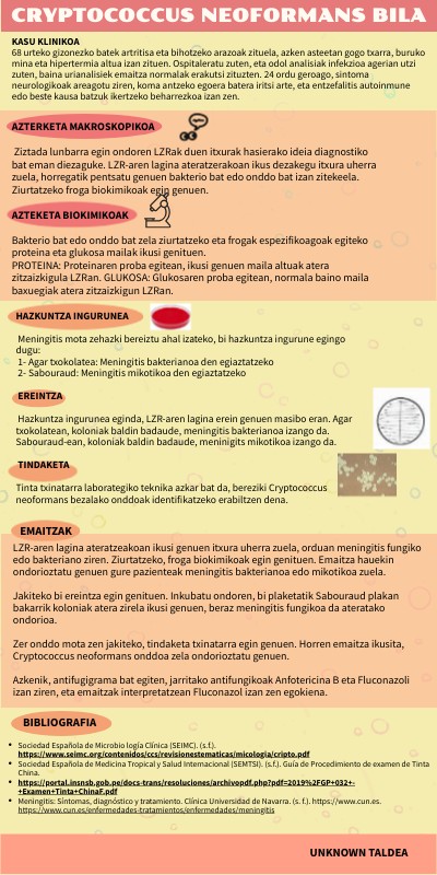 CRYPTOCOCCUS NEOFORMANS BILA | Genially