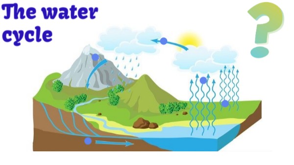 The water cycle | Genially