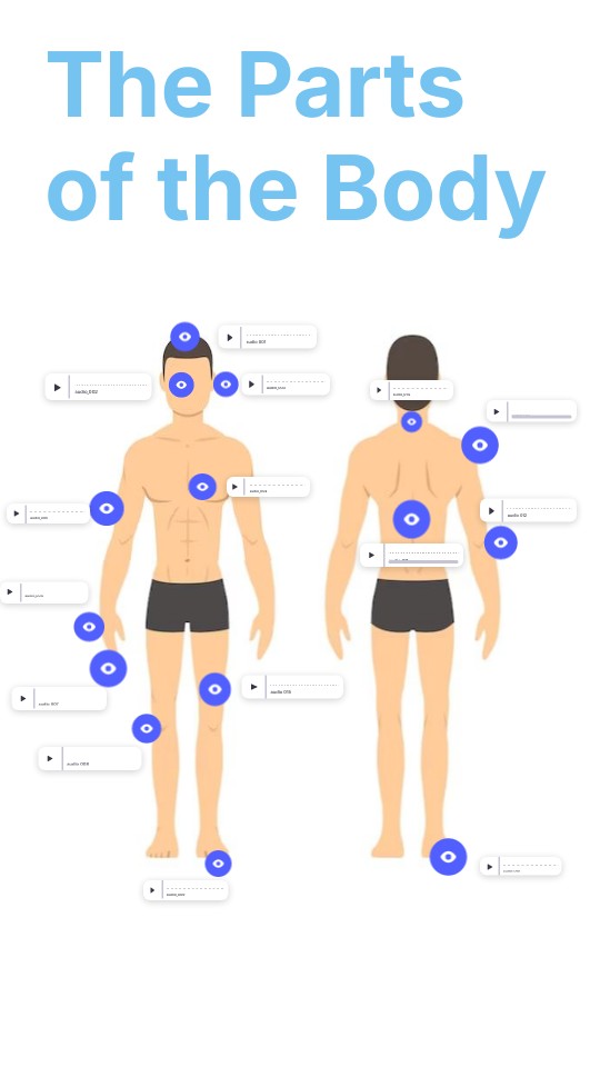 The Parts of the Body | Genially
