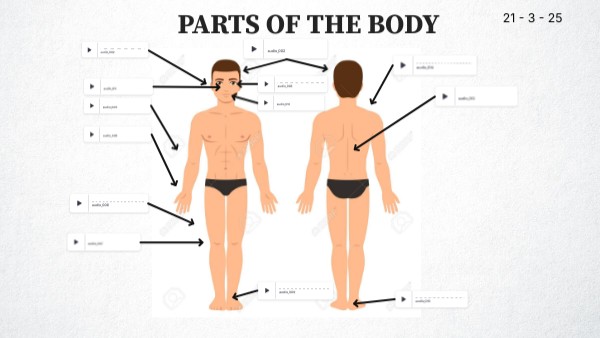 Parts of the body | Genially