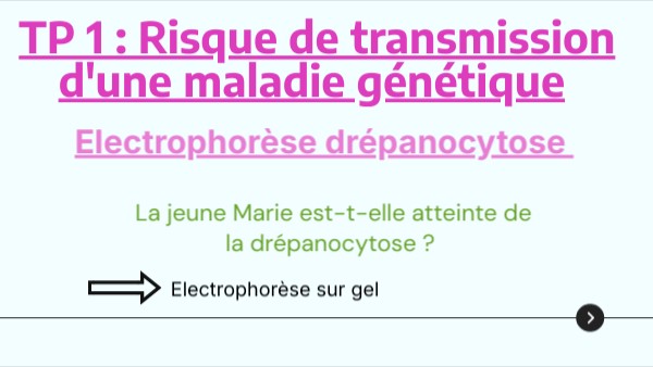 TP 1 : Risque de transmission d'une maladie génétique | Genially