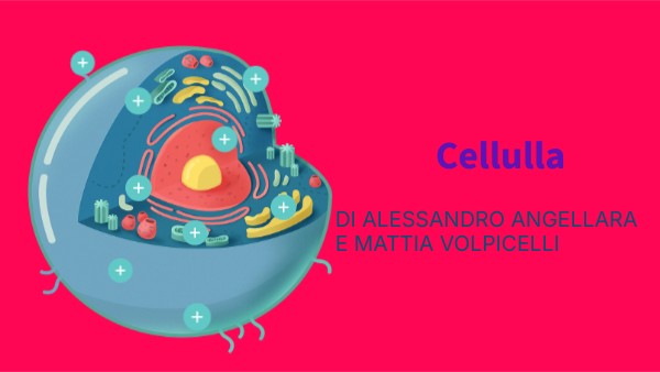 CELLULA | Genially