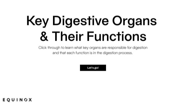 Key Digestive Organs & Their Functions | Genially