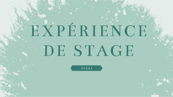 expérience de stage | Genially